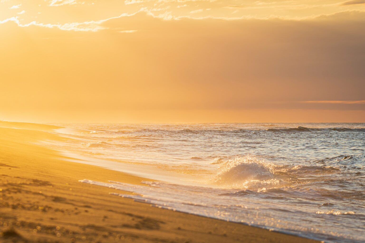 Ultimate Guide to Cape Cod Events | NEVR