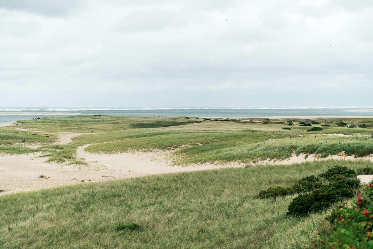 Ultimate Guide to Cape Cod Events | NEVR
